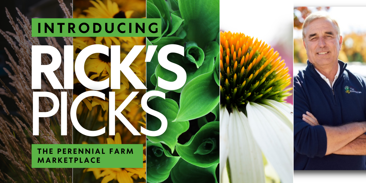 Rick's Picks – Perennial Farm Marketplace